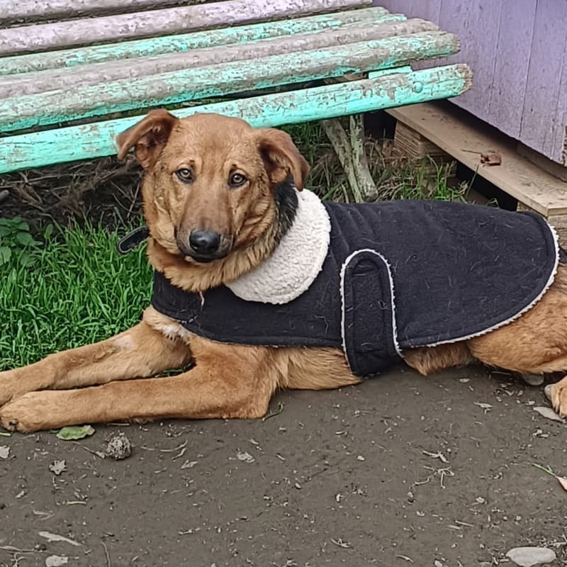Dónale un kilo a Marta - Barrio Animal